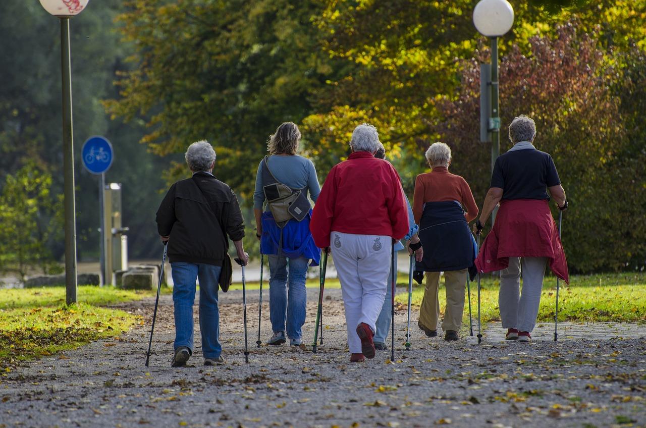 Wandelroutes in Maassluis: Ontdek de pracht van de stad te voet ...